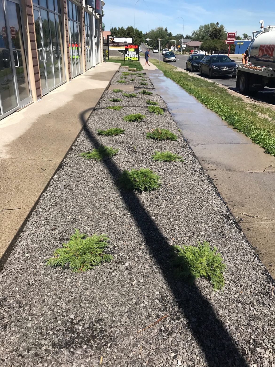 Tree & Landscape Watering - Big Rock Water Hauling